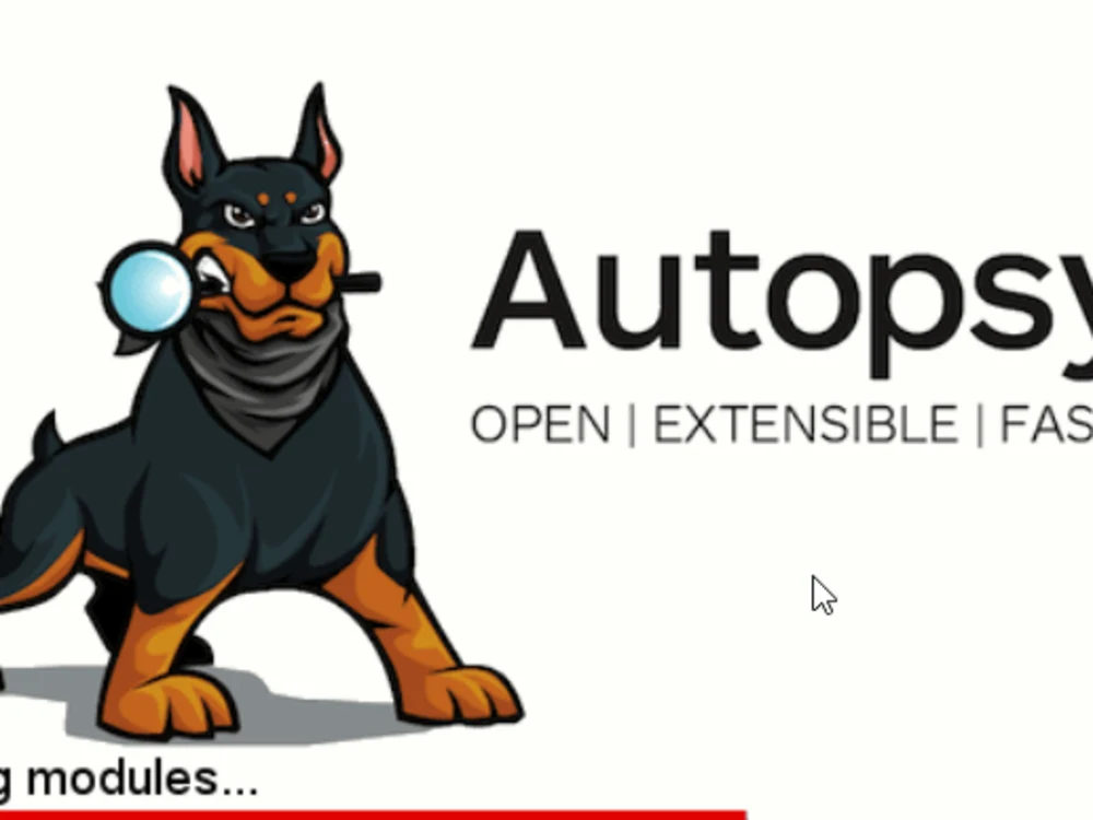 A Digital Forensics Analysis for Cyber Crime Investigations | Upwork