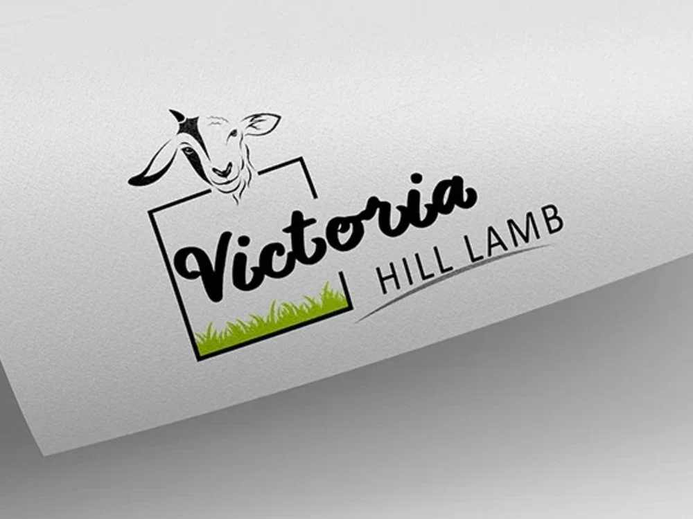 Perfect-looking animation and motion graphics | Upwork