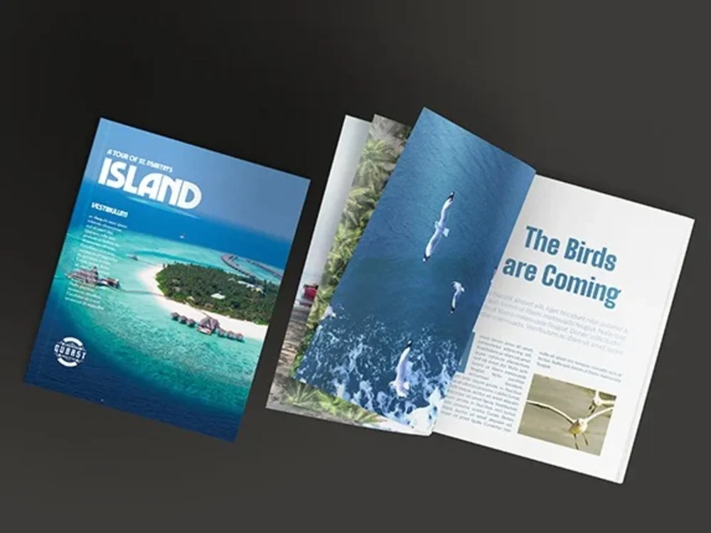 Magazine Design, Layout, Cover and any InDesign projects | Upwork