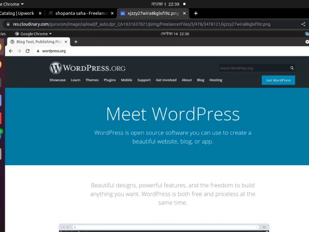 WordPress Development Service On Upwork. | Upwork