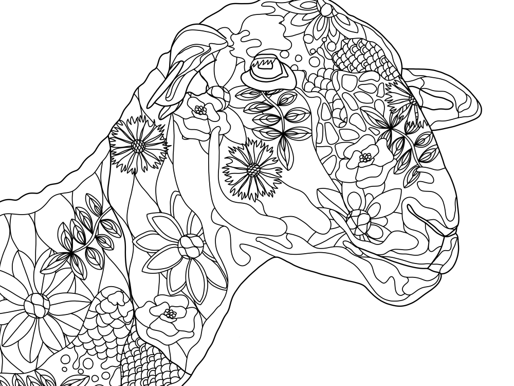 15 custom coloring book images delivered digitally. Ready for print ...