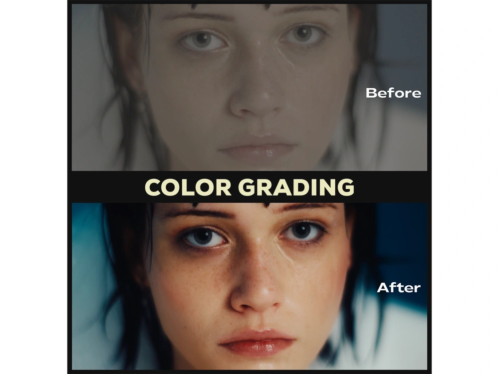 Premium color grading and color correction | Upwork