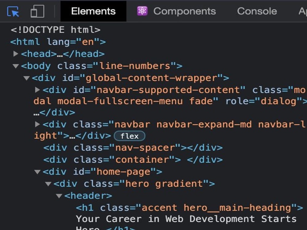 Python developer- Web guru- expert frontend and backend developer | Upwork