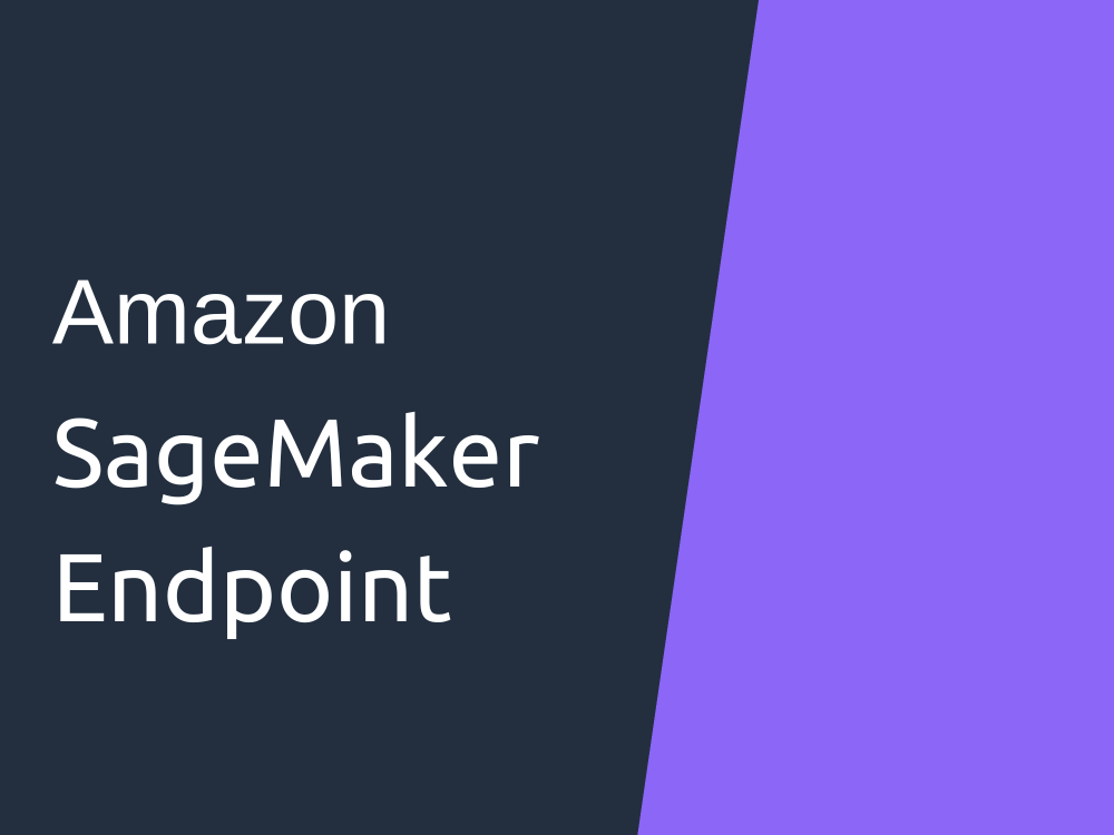 Deployment of Neural Network Endpoint on AWS Sagemaker | Upwork