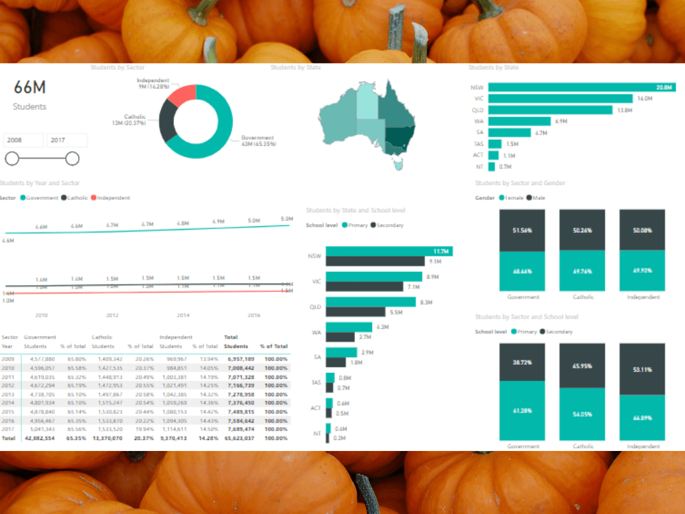 Automated/Perceptive Visualization/ Dashboard/ Report in PowerBi | Upwork