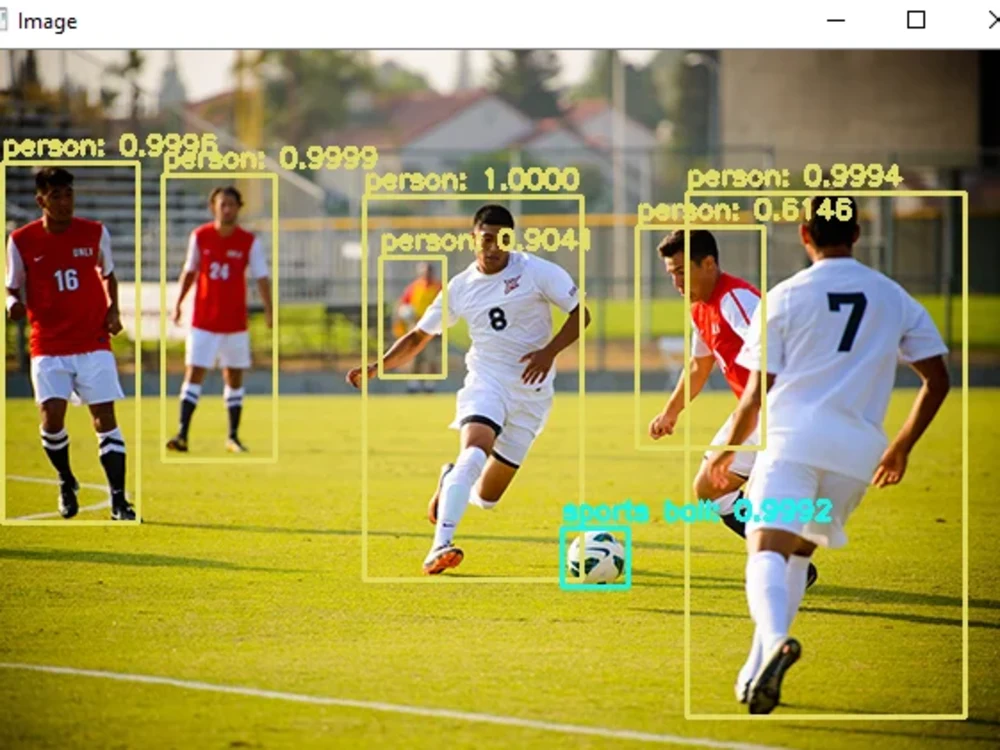 Image Classification Image Segmentation Object Detection Project Upwork