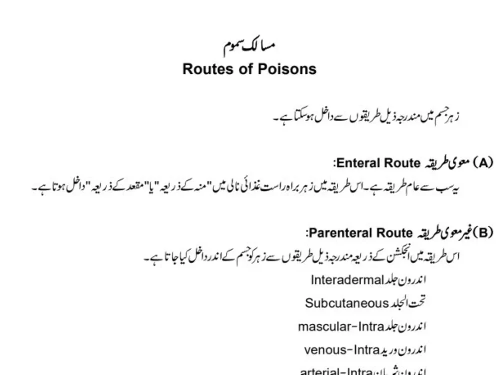Professional Arabic data entry, Arabic typing | Upwork