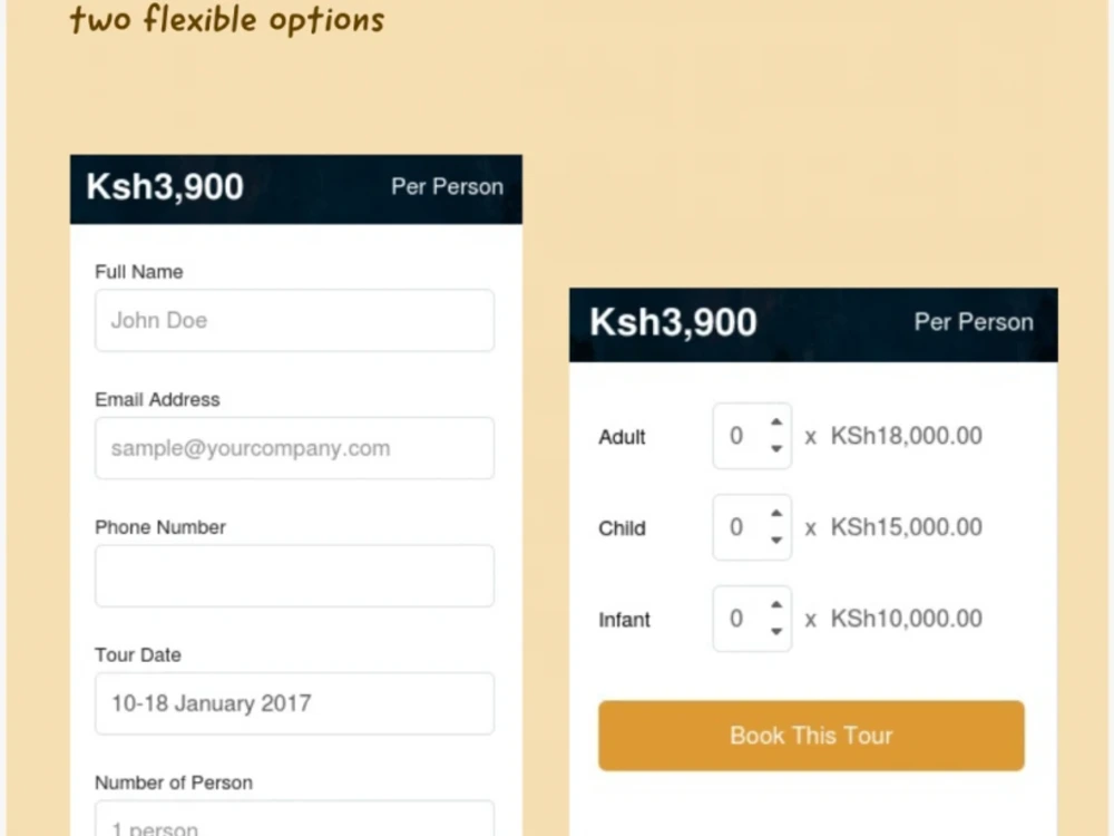 A fully functional Tours & Travel Management System website | Upwork