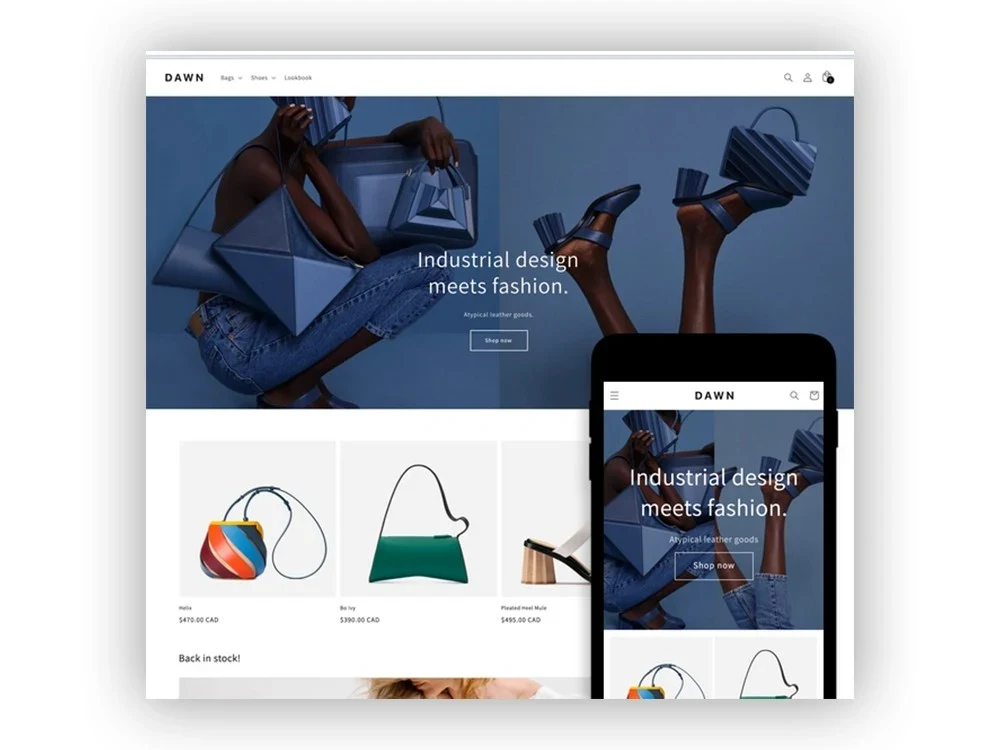 An amazing Shopify Store Designer, Shopify developer, and Shopify ...