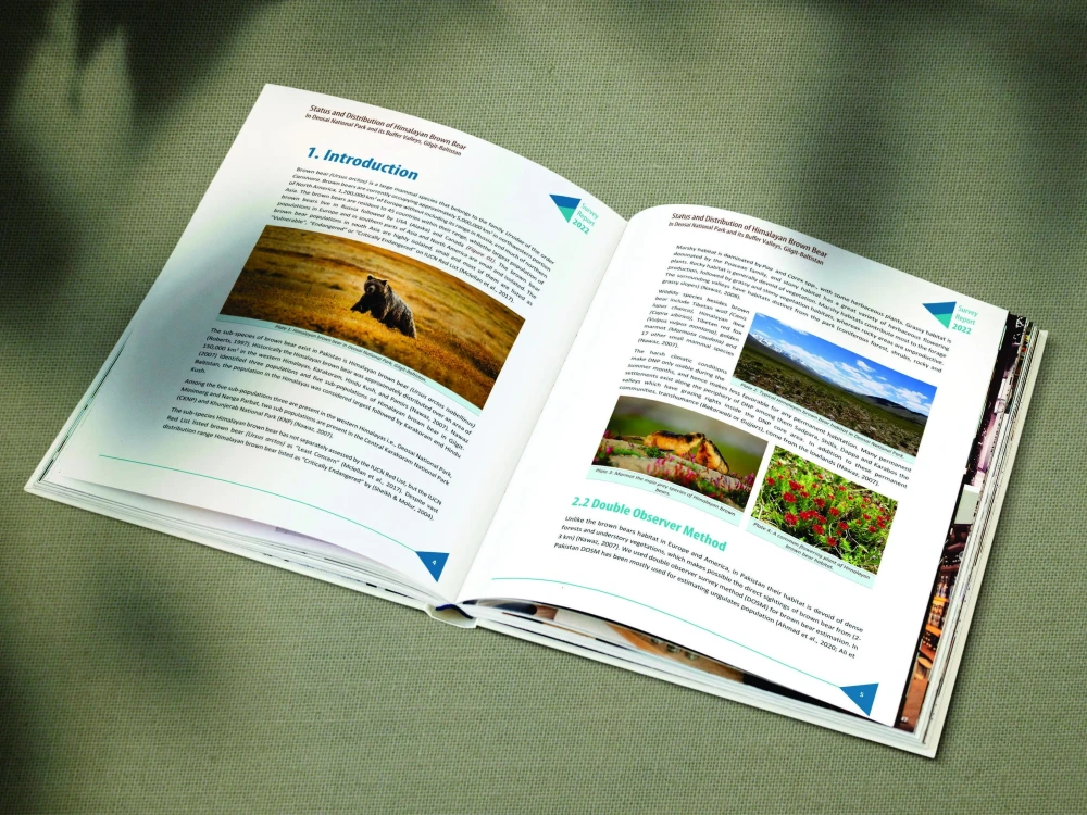 Book formatting, layout design, typesetting and Book Cover for Amazon ...