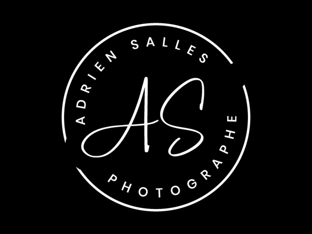 Signature, handwritten, scripted, cursive, handwriting logo design | Upwork