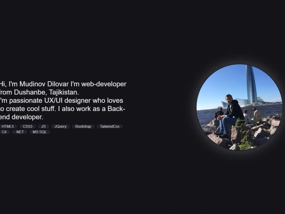 An amazing website created using html, css, js fully responsive and fast | Upwork