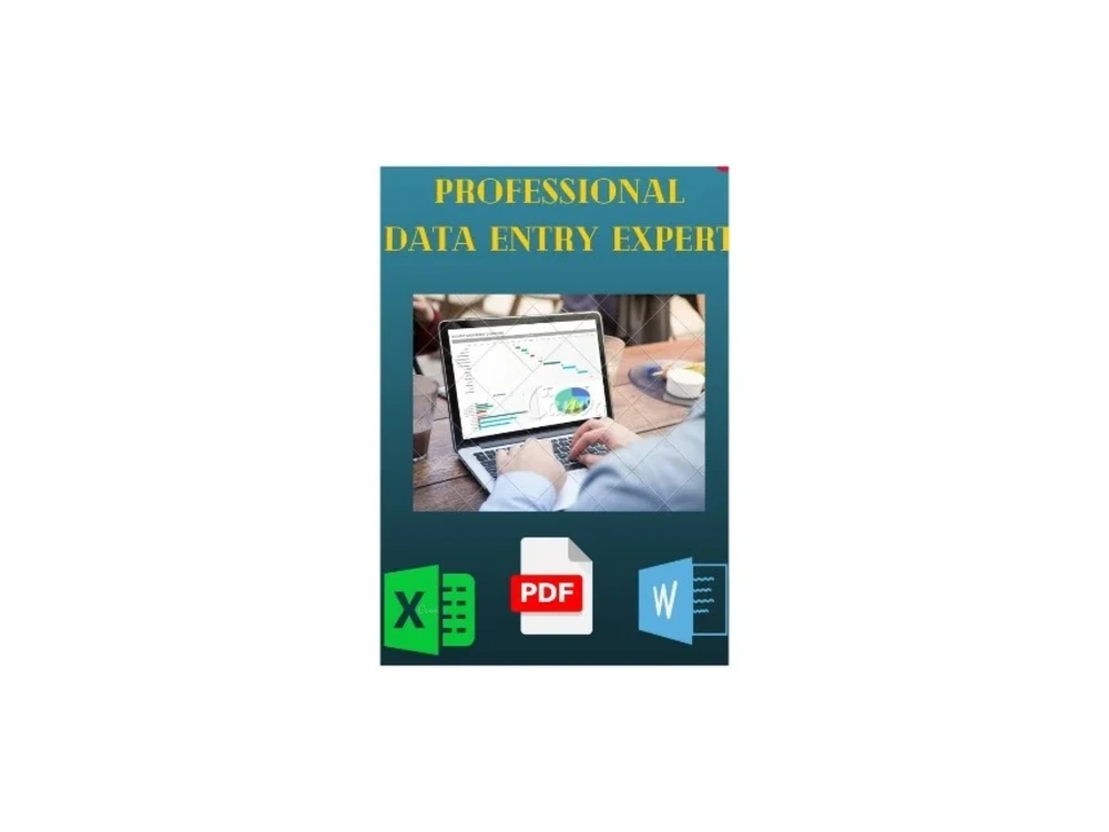 A professional data entry,pdf conversion.img conversion,excel sheet. | Upwork