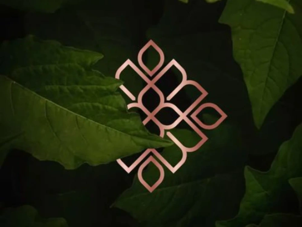 A Top-Notch Logo designs | Upwork