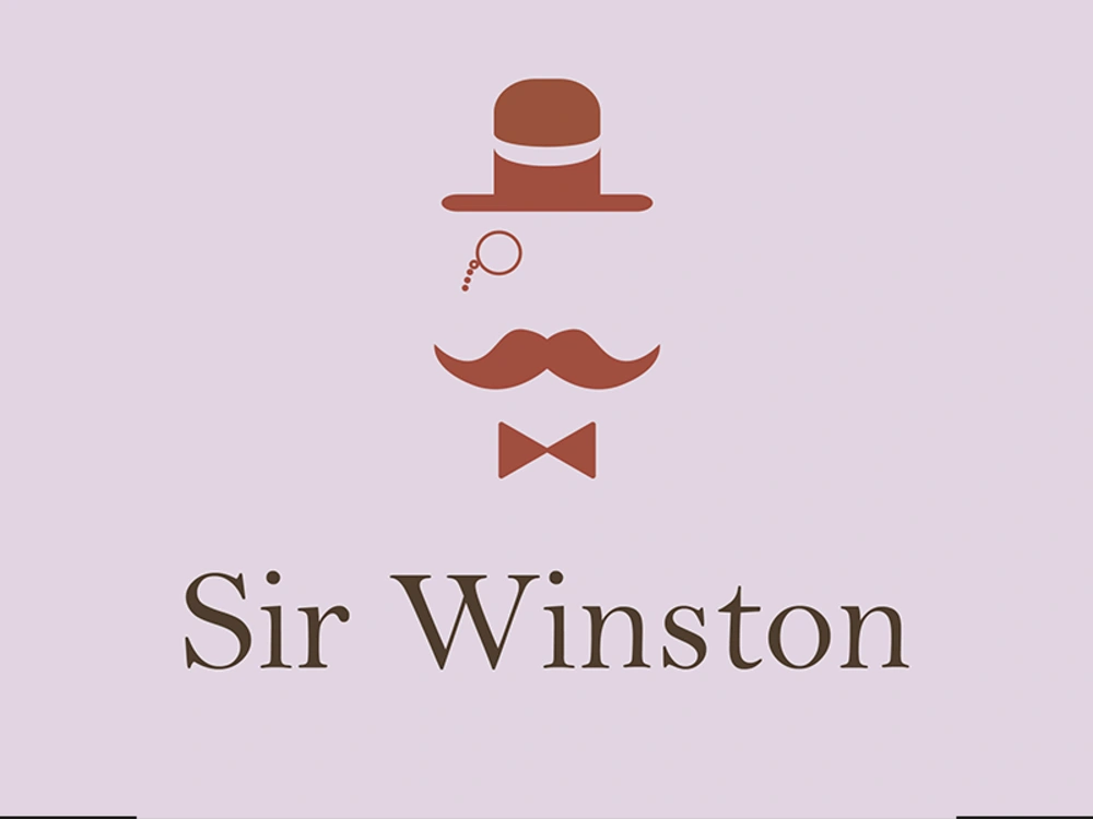 An amazing logo designed for your business | Upwork