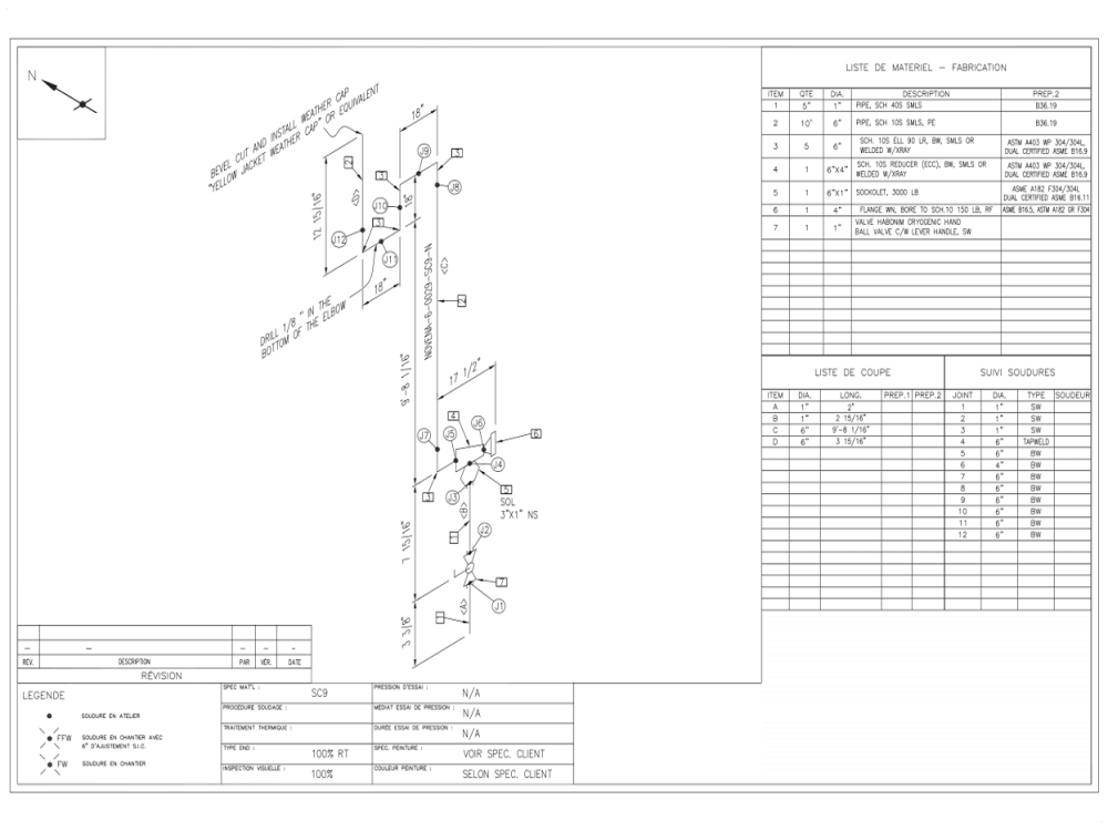 Piping isometric, piping layout & equipment layout etc. | Upwork