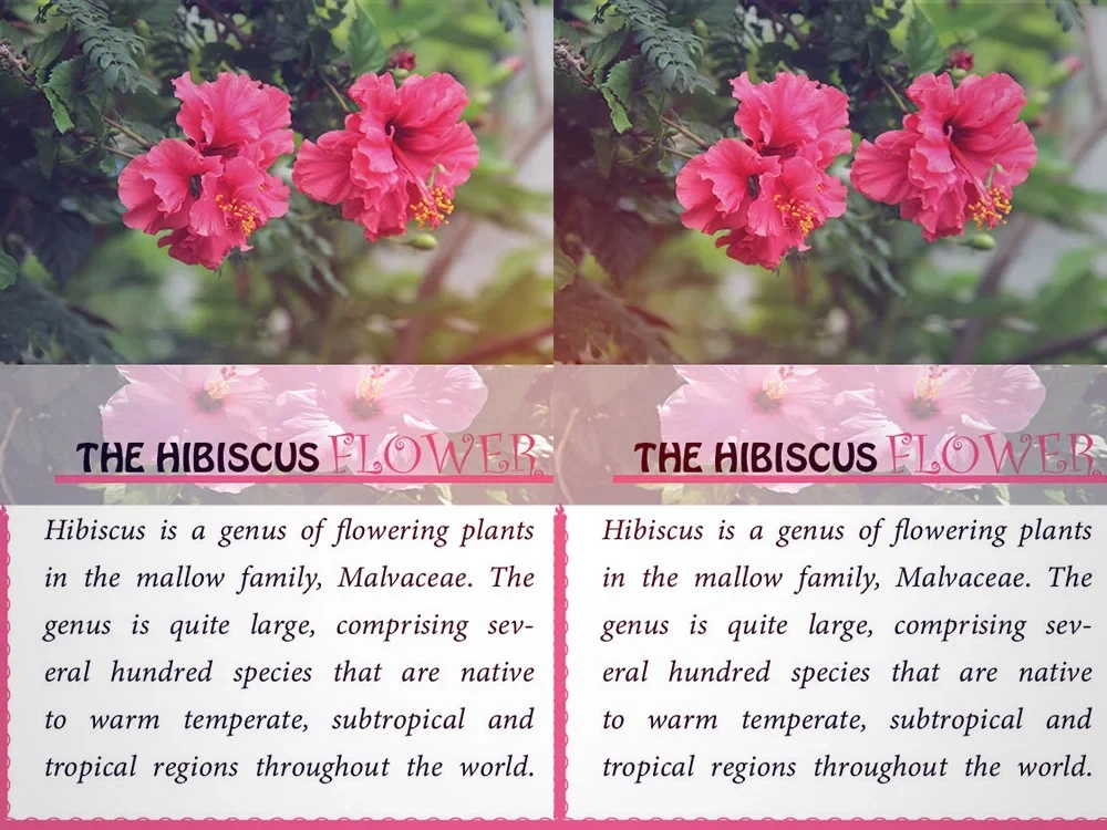 A professional ebook design and book layout done with Adobe Indesign ...