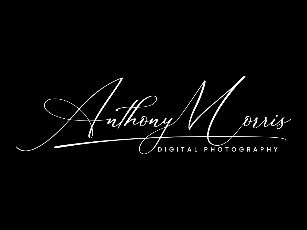 Modern signature, handwritten, calligraphy, scripted, cursive logo ...