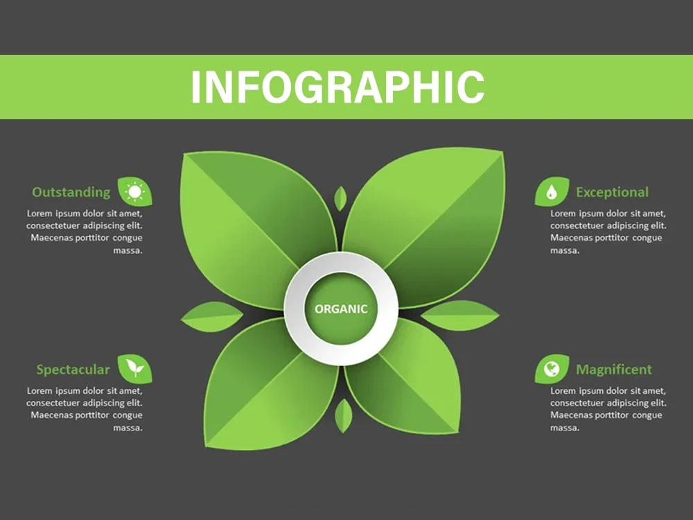Professional infographic designs for your brand. | Upwork
