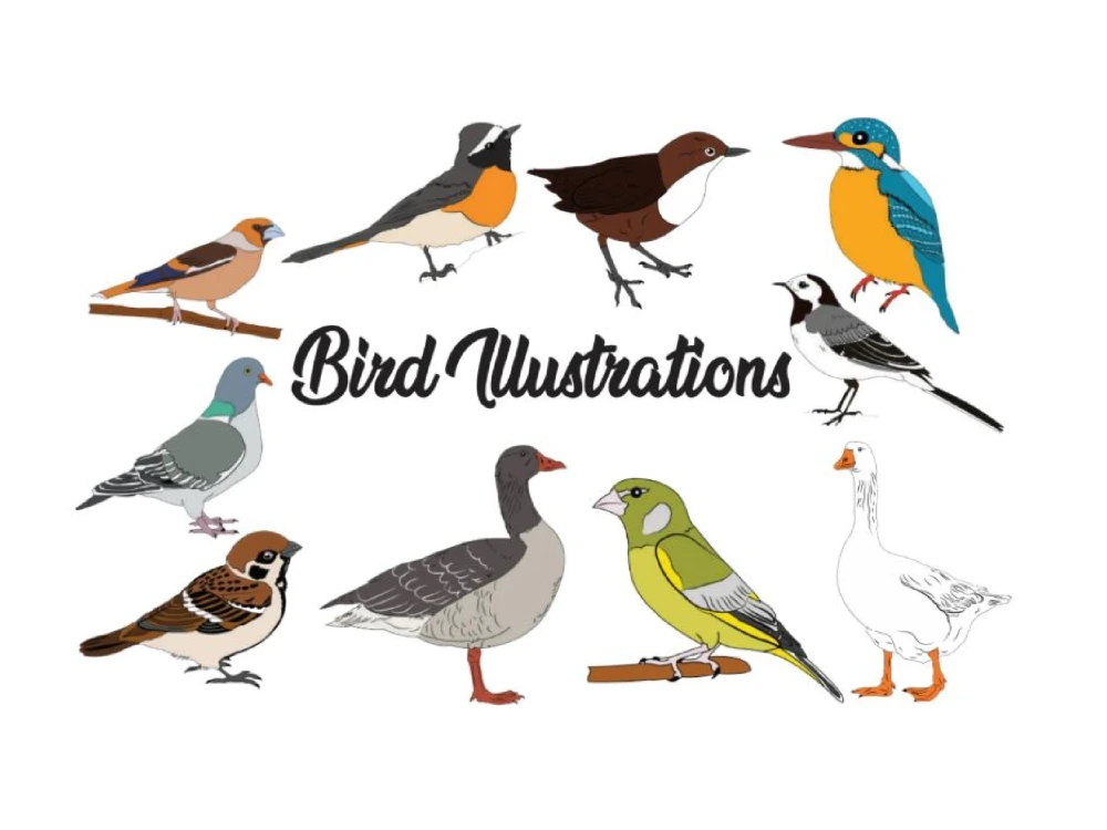 Simple flat realistic vector animal illustrations for children's books ...