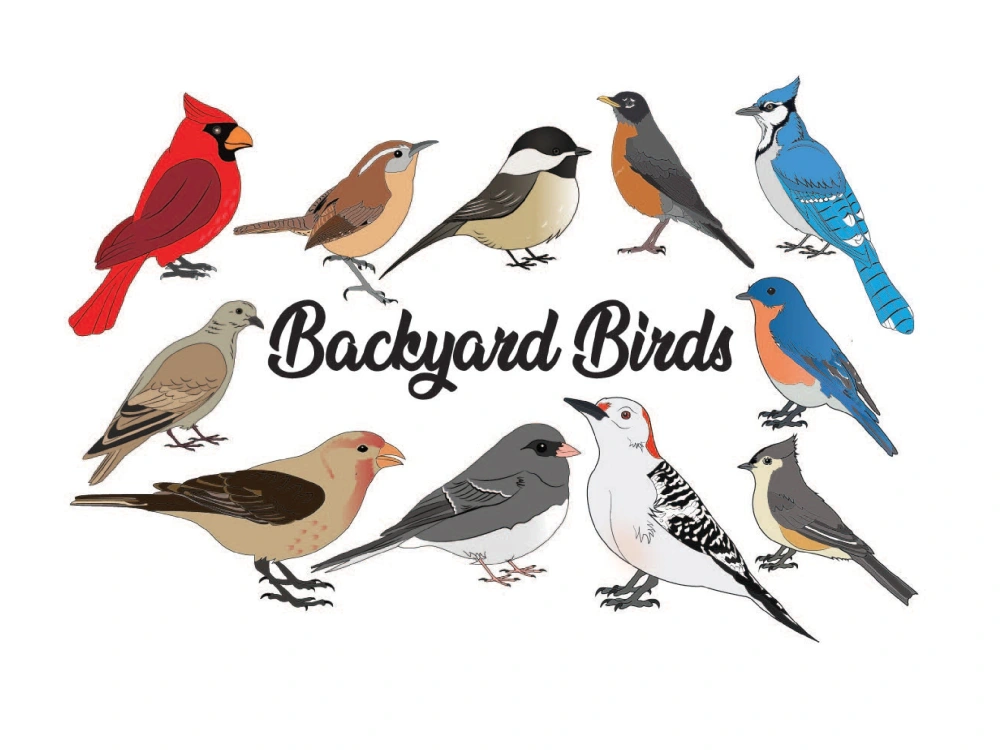 Simple flat realistic vector animal illustrations for children's books ...