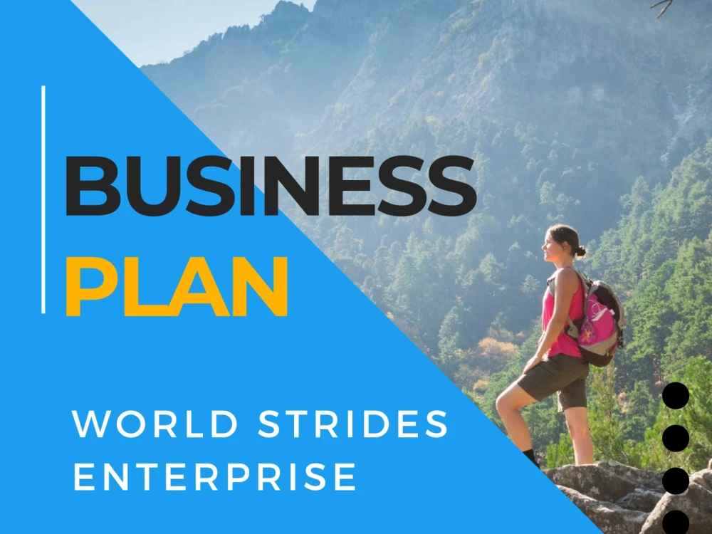 Custom-tailored, comprehensive business plan with financial projections ...