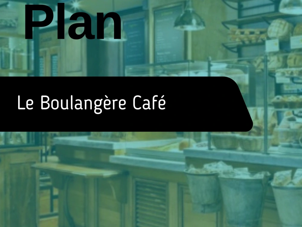 Custom-tailored, comprehensive business plan with financial projections ...