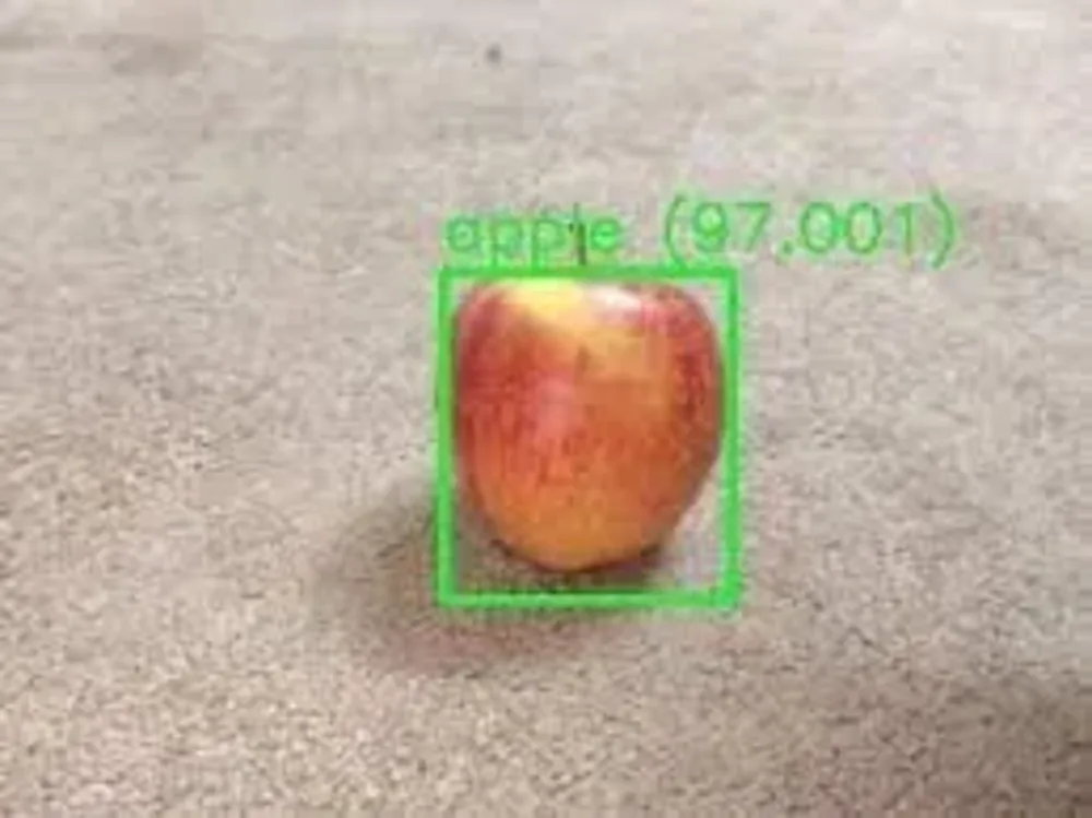 A high accuracy object detector | Upwork