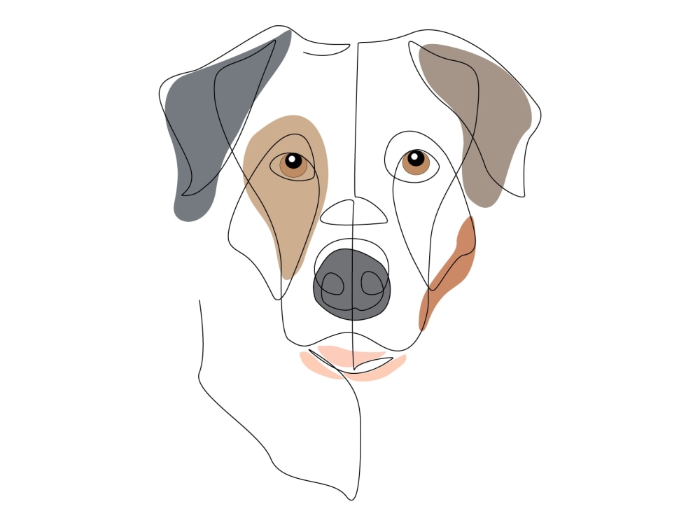 Custom pet dog cat portrait into one line art drawing | Upwork