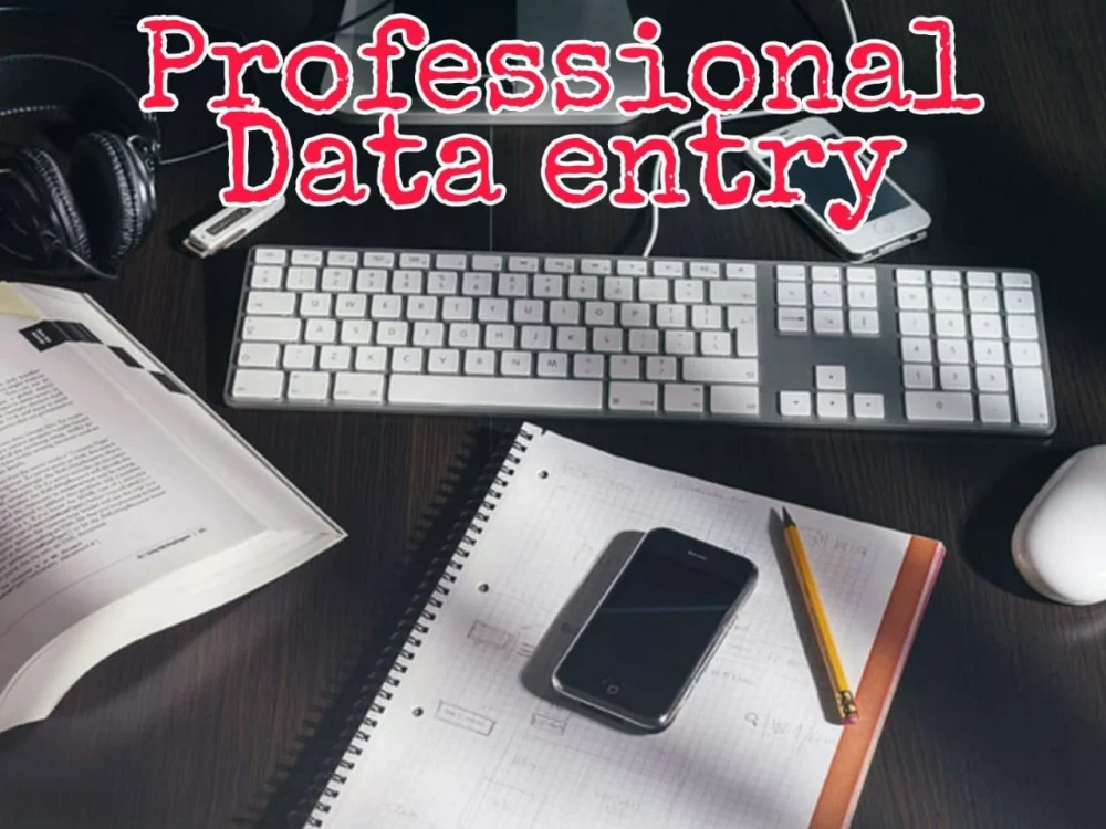 A fantastic data entry, copy paste, web research and excel data entry | Upwork