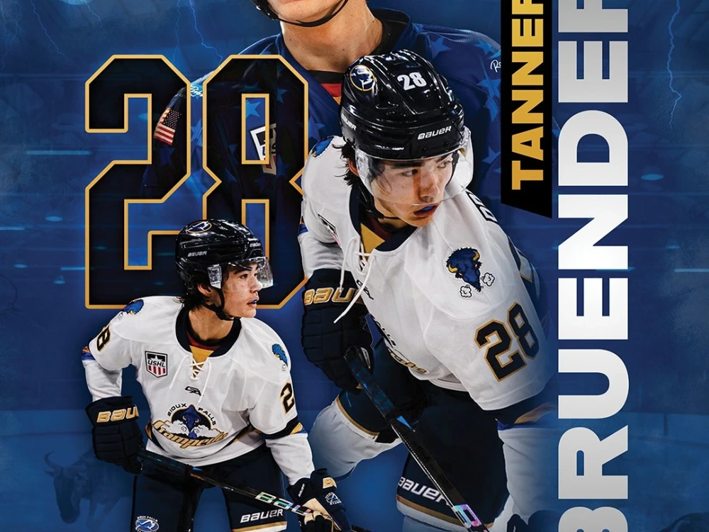 Captivating designs for your sports team posters, flyers, etc | Upwork