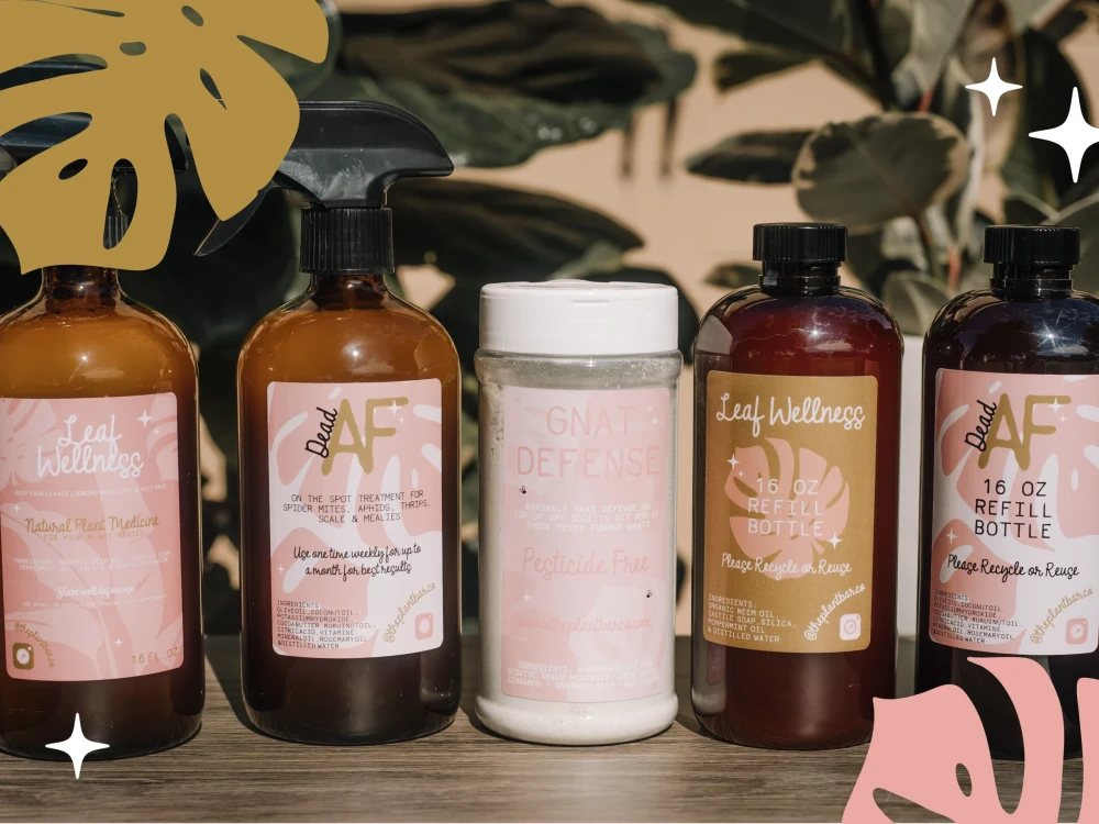A beautiful soul aligned Product Label | Upwork