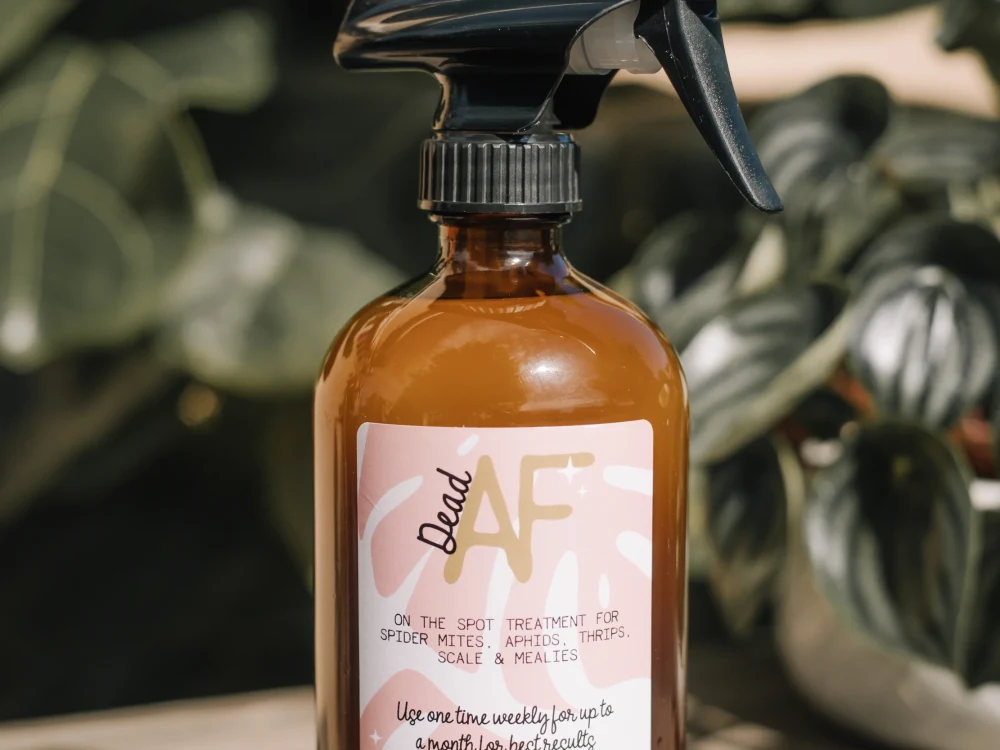 A beautiful soul aligned Product Label | Upwork