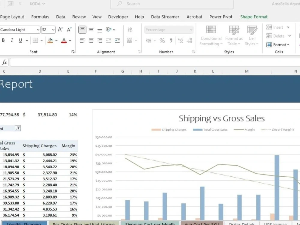 An Interactive Excel Report and Dashboard | Upwork