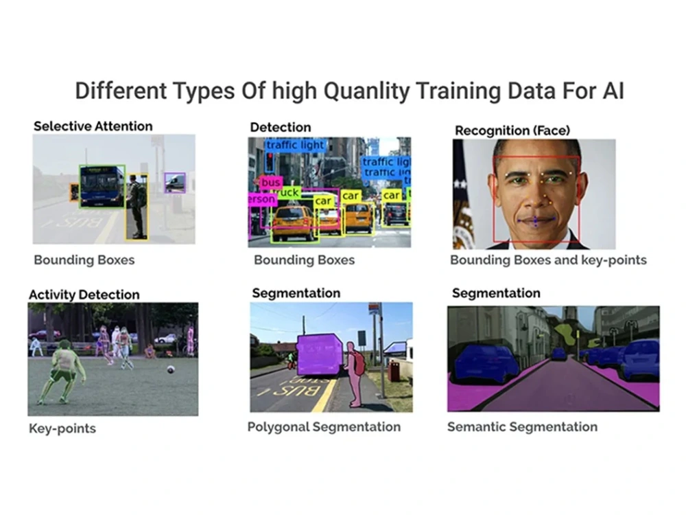 Bounding box, segmentation and object detection for ai | Upwork