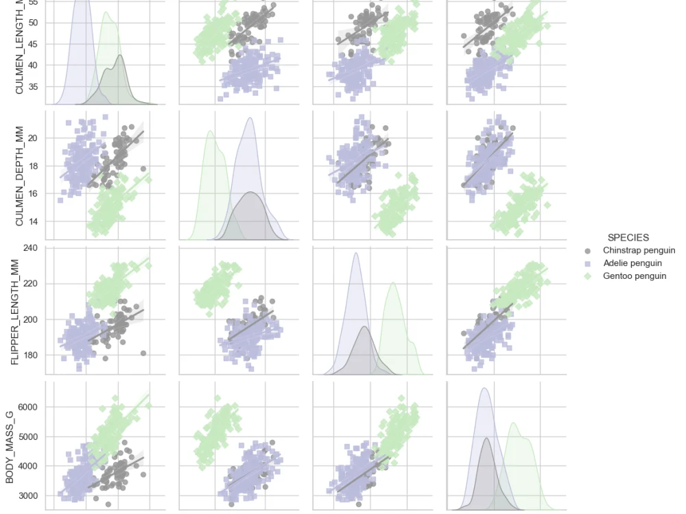 Data visualizations created from a dataset in Python language programming | Upwork