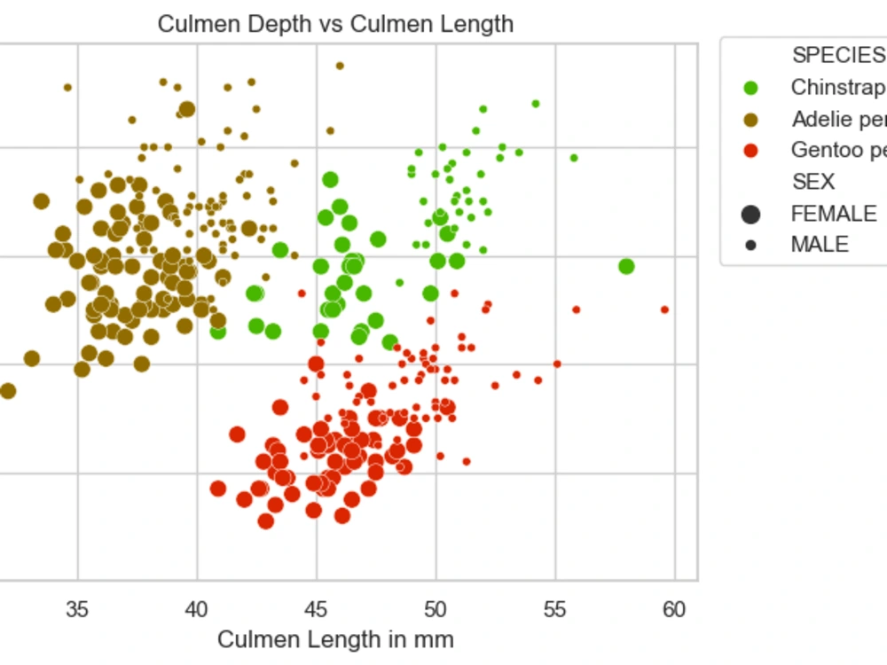 Data visualizations created from a dataset in Python language programming | Upwork