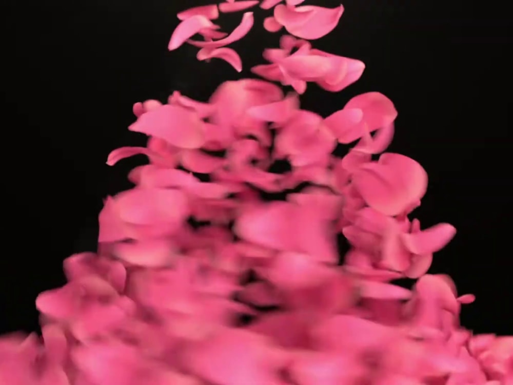 3d perfume animation 3d product animation 3d animation, perfume ...