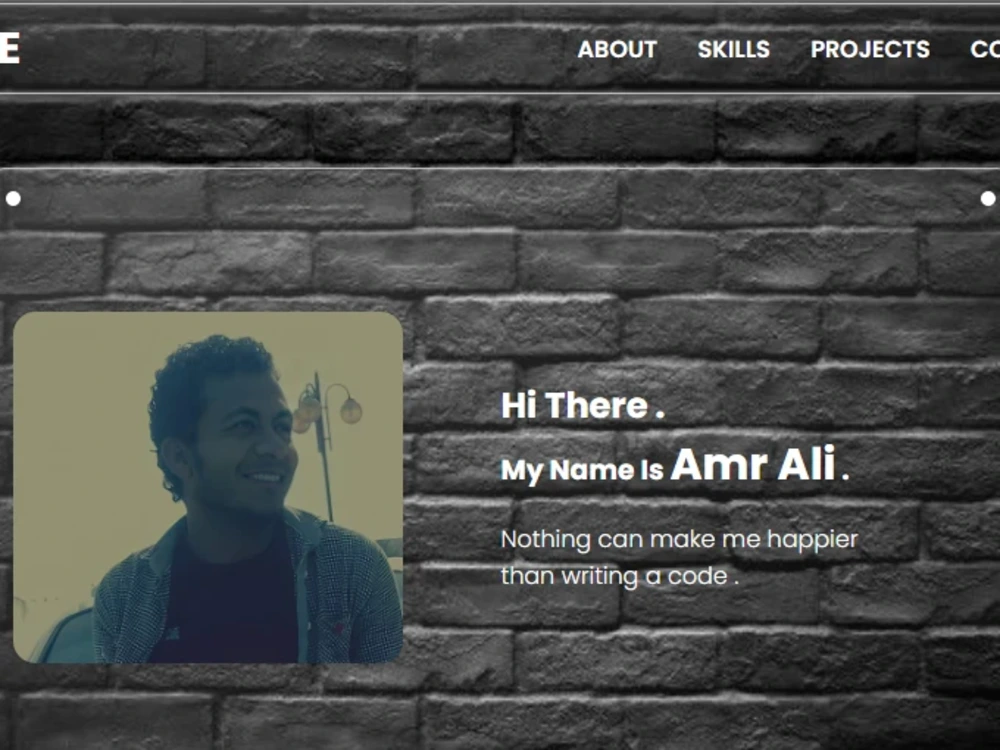 A fantastic website build with HTML, CSS, JAVA SCRIPT | Upwork