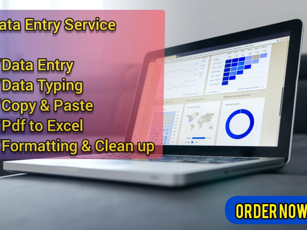Affordable Data Entry Services with 100% Accuracy and Fast Delivery ...