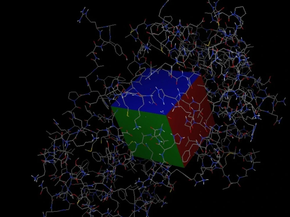 Molecular docking, MD Simulation and Primer Designing in Auto Dock ...