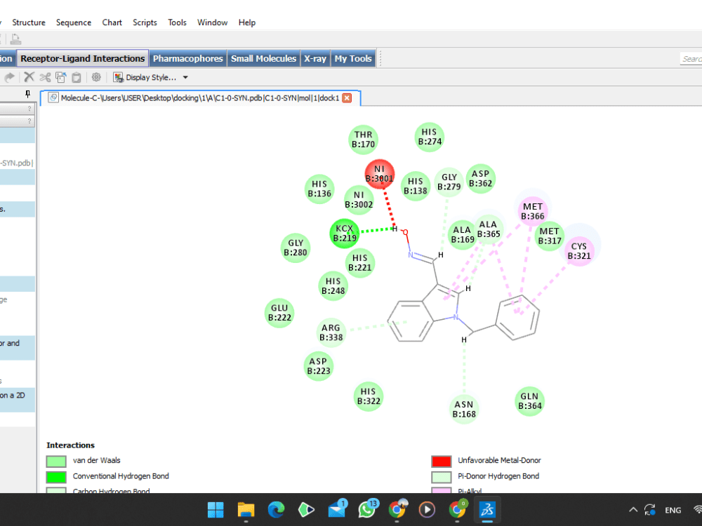 A Project Of Molecular Docking Dynamic Simulations And Admet Analysis