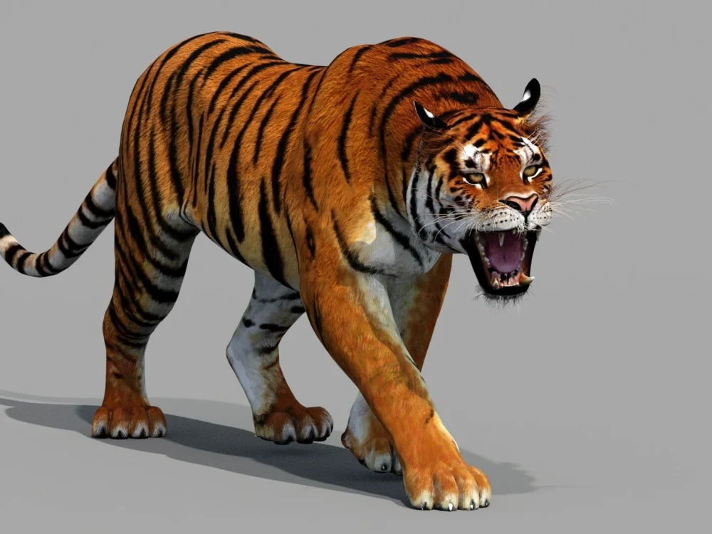 Photorealistic 3D Animal Animation, 3D Realistic Animal Modeling ...