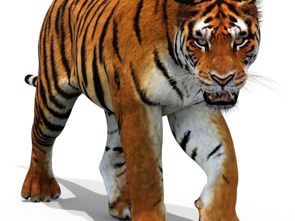 Photorealistic 3D Animal Animation, 3D Realistic Animal Modeling ...