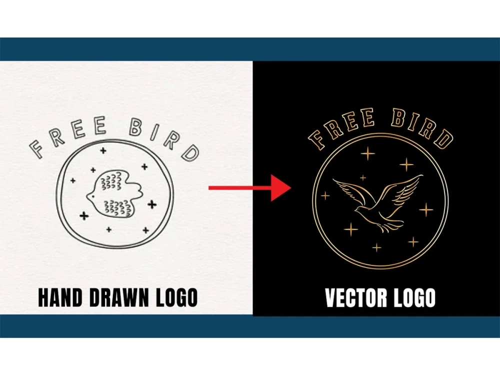 Sketch to vector illustration | Upwork