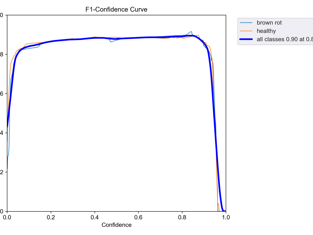 A computer vision projects using state-of-the-art deep learning models | Upwork