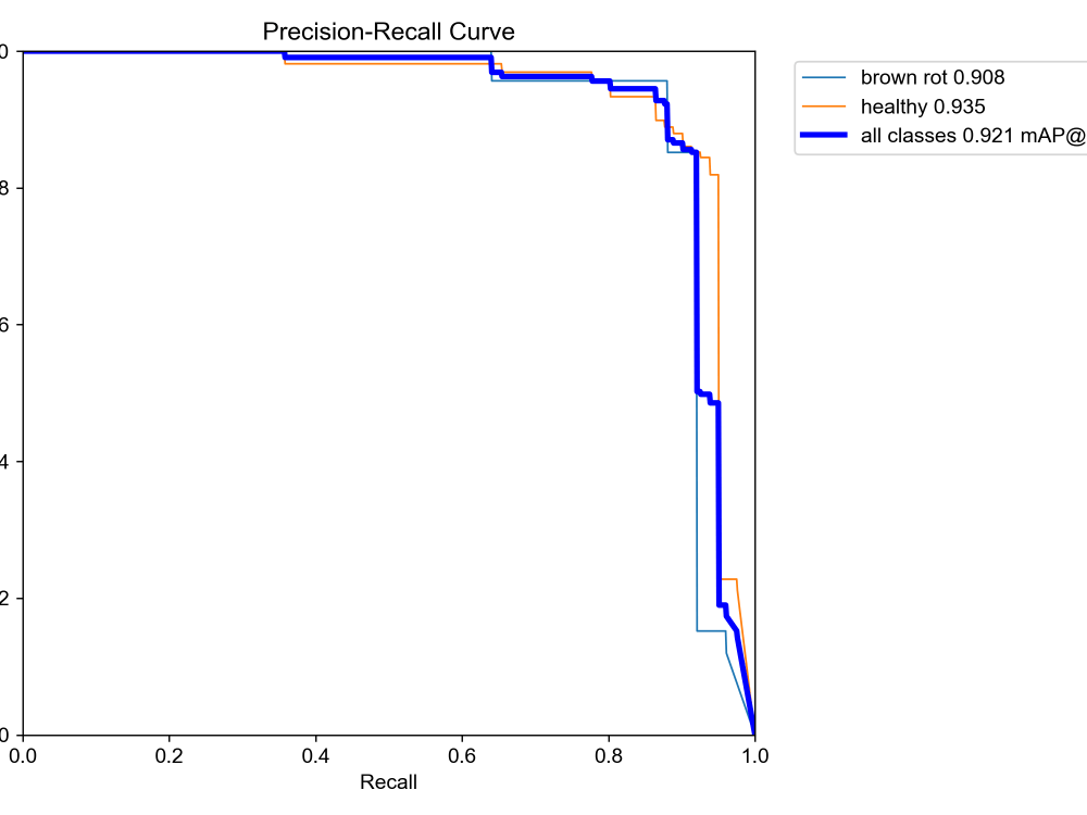 A computer vision projects using state-of-the-art deep learning models | Upwork