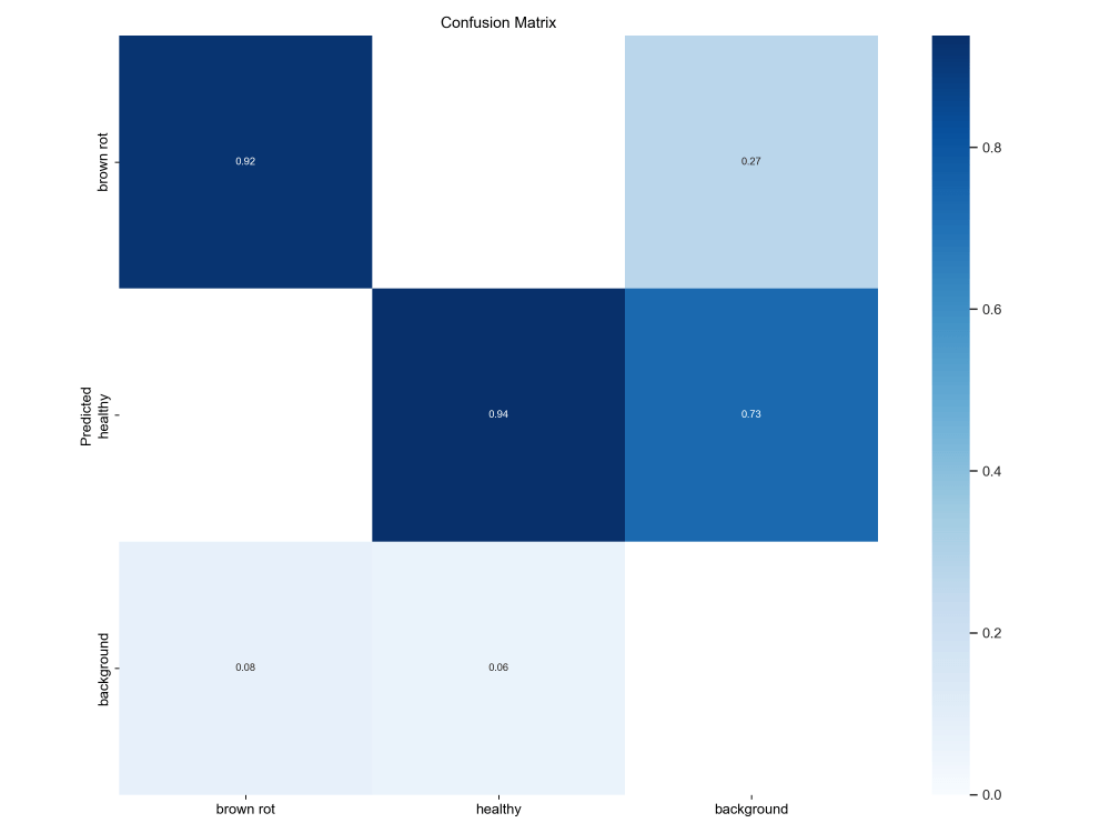 A computer vision projects using state-of-the-art deep learning models ...