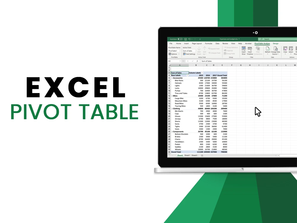 Excel Consultant for Pivot Table Project Management | Upwork
