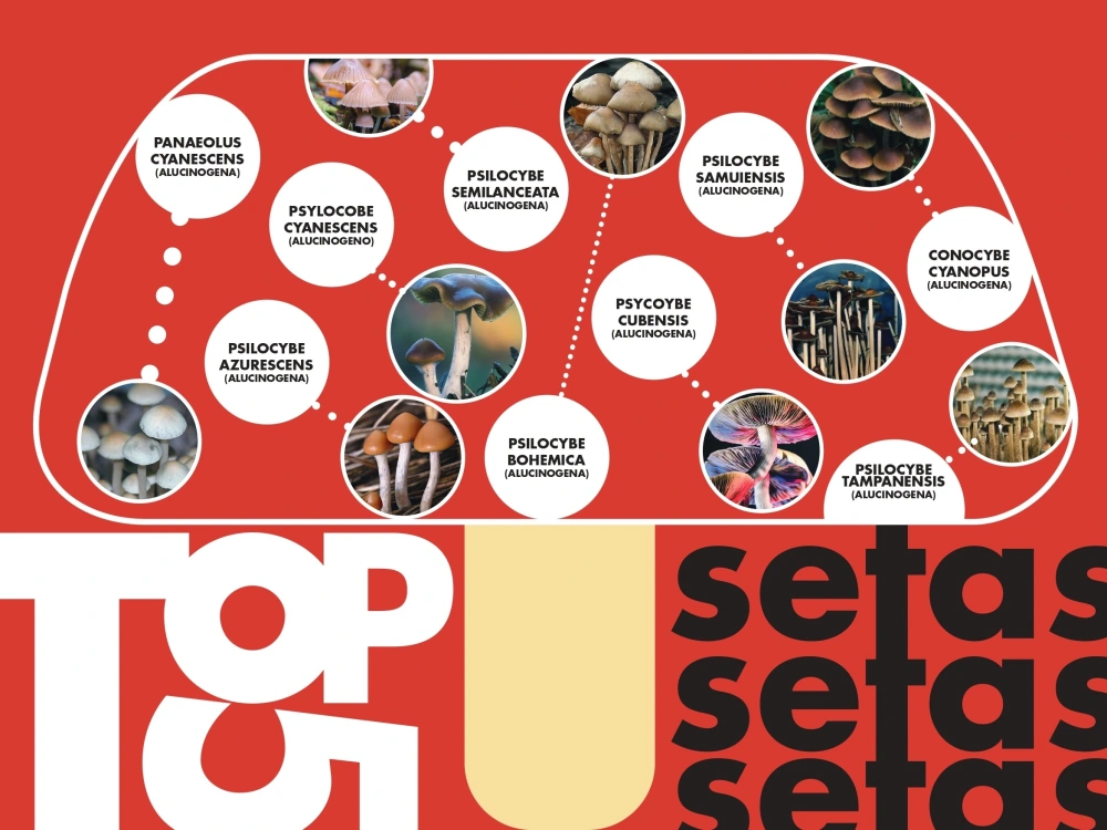 A customized informational layout design | Upwork